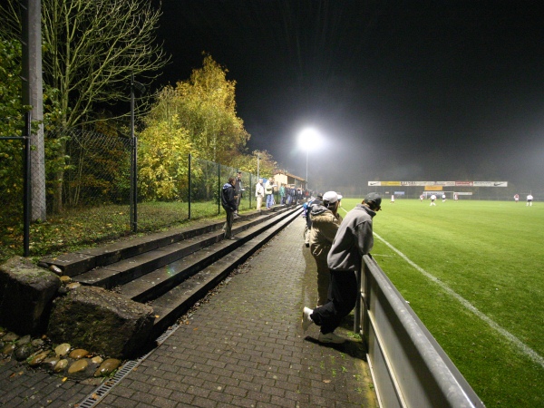 Germany - FC Victoria Bammental - Results, fixtures, squad, statistics ...